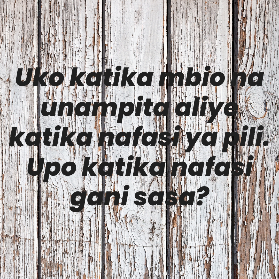 40+Misemo ya mafumbo na vitendawili – Mhariri