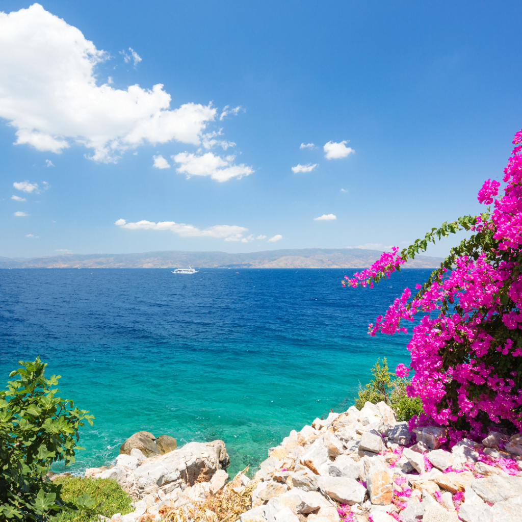 Picha nzuri za maua na misemo – Mhariri