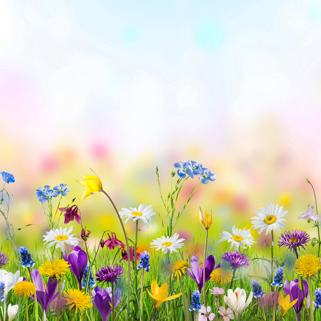 Picha nzuri za maua na misemo – Mhariri