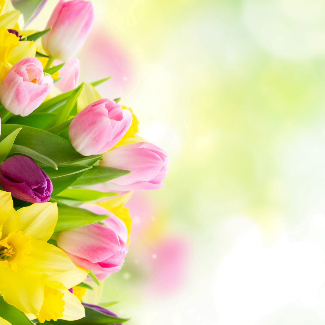 Picha nzuri za maua na misemo – Mhariri