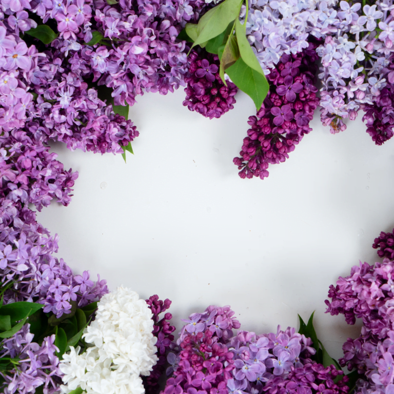 Picha nzuri za maua na misemo – Mhariri