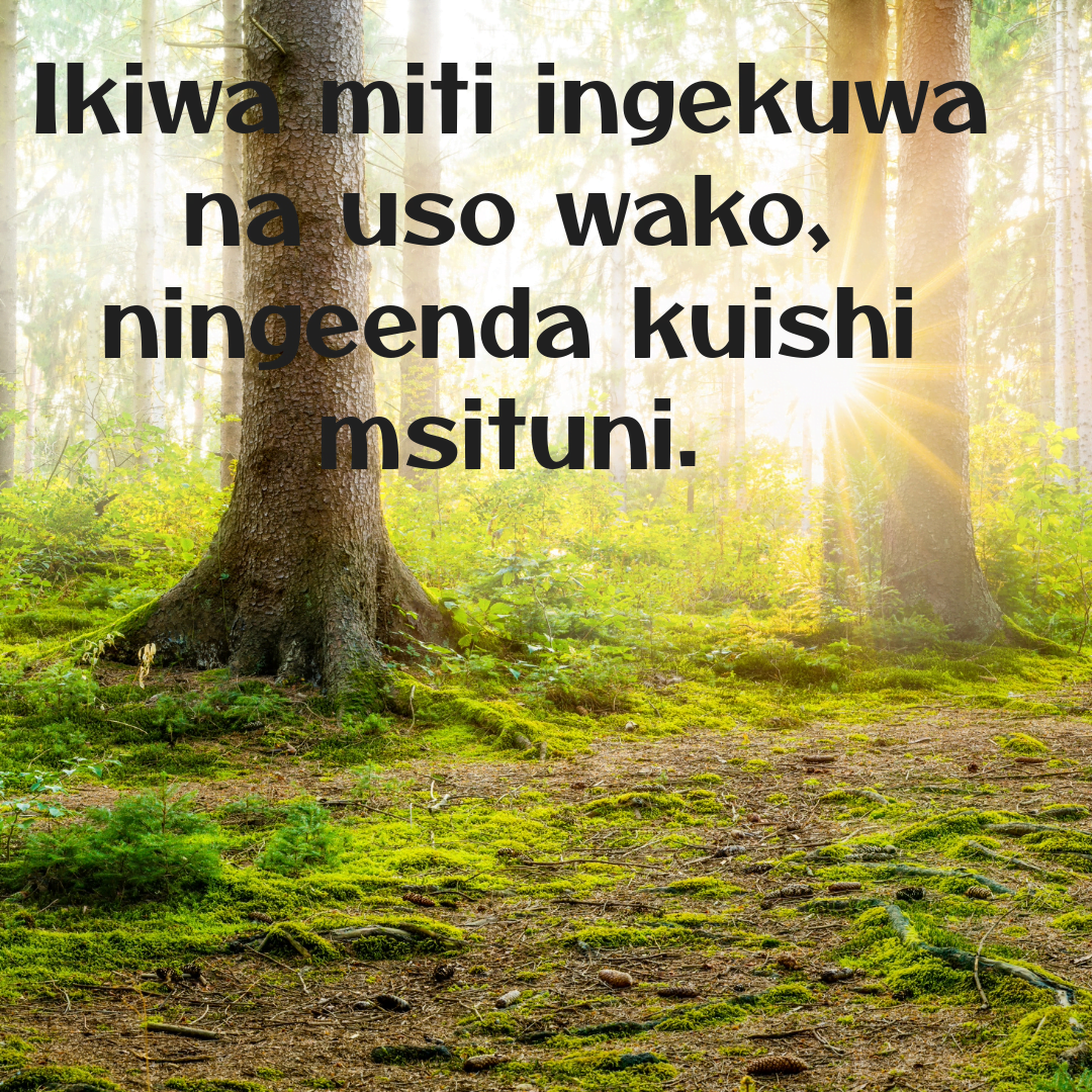 SMS nzuri za mapenzi za kutongoza - Mhariri