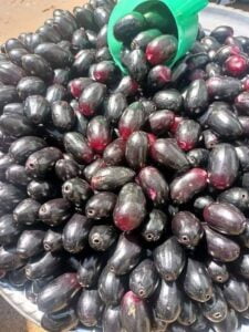 Zambarau in English - Mhariri