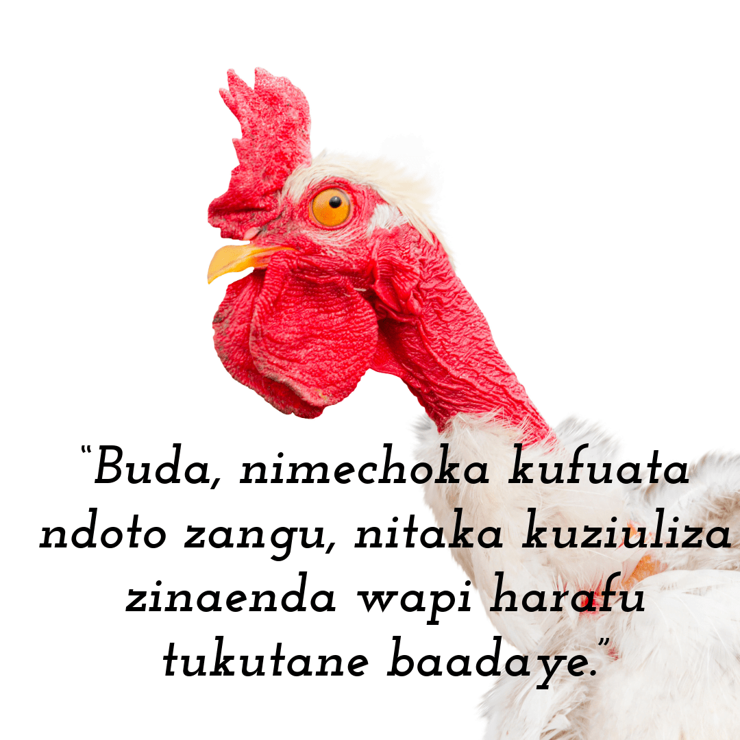 Funny Sheng Quotes – Mhariri